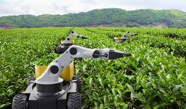 AI In Agriculture: Smart Farming And Sustainable Practices.